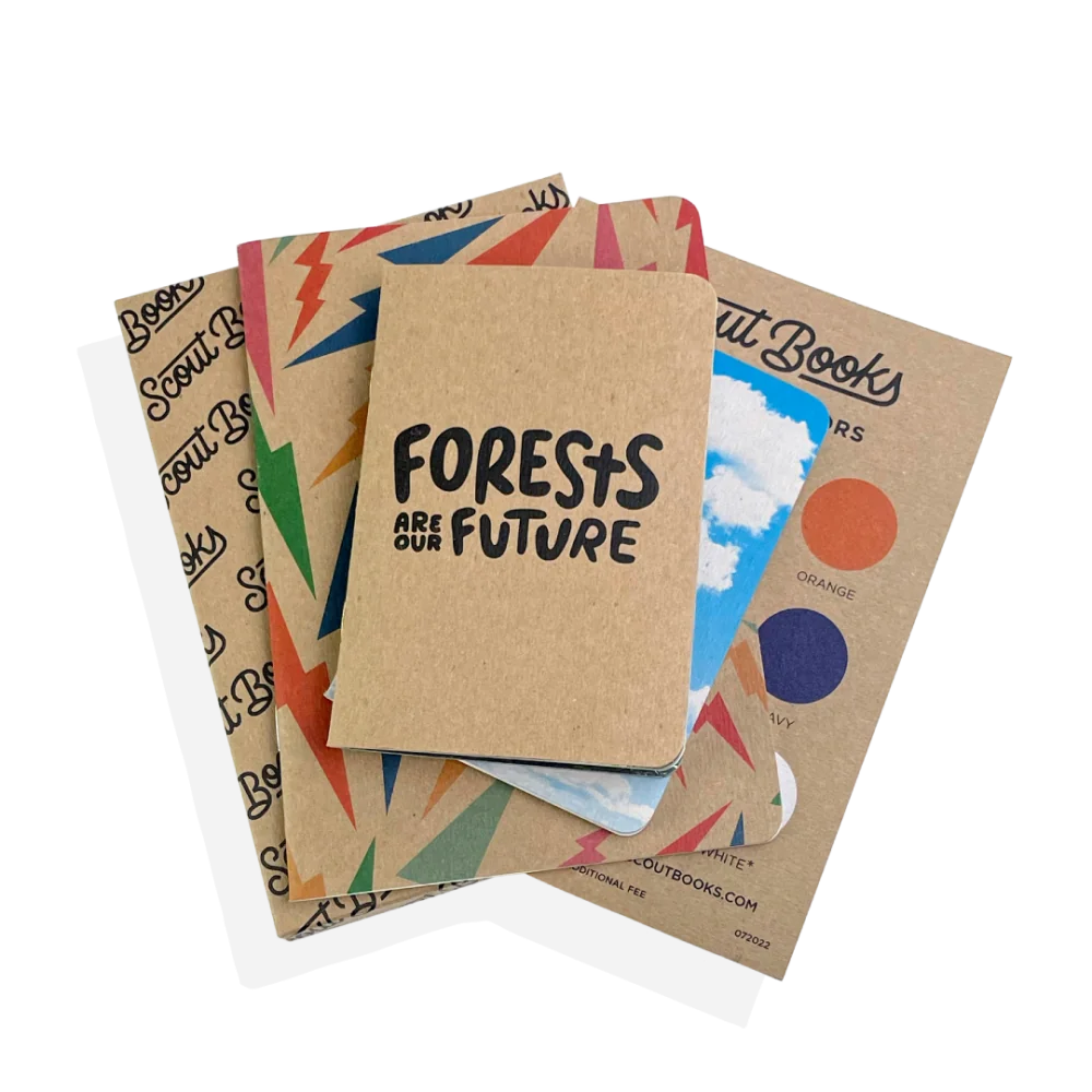 Scout Books | 100% Recycled Notebooks for Your Big Ideas